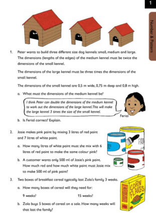 NumberSense Comprehensive Workbook 24 | NumberSense